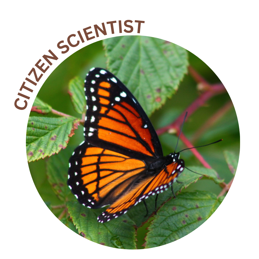 Kickapoo Valley Reserve | Home